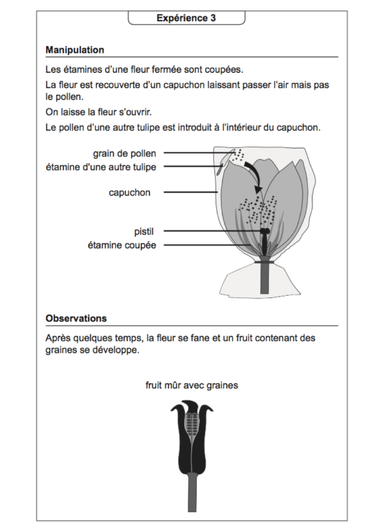 CE1D 2018 Livret 2 Question 16D » Sciences pour les allophones