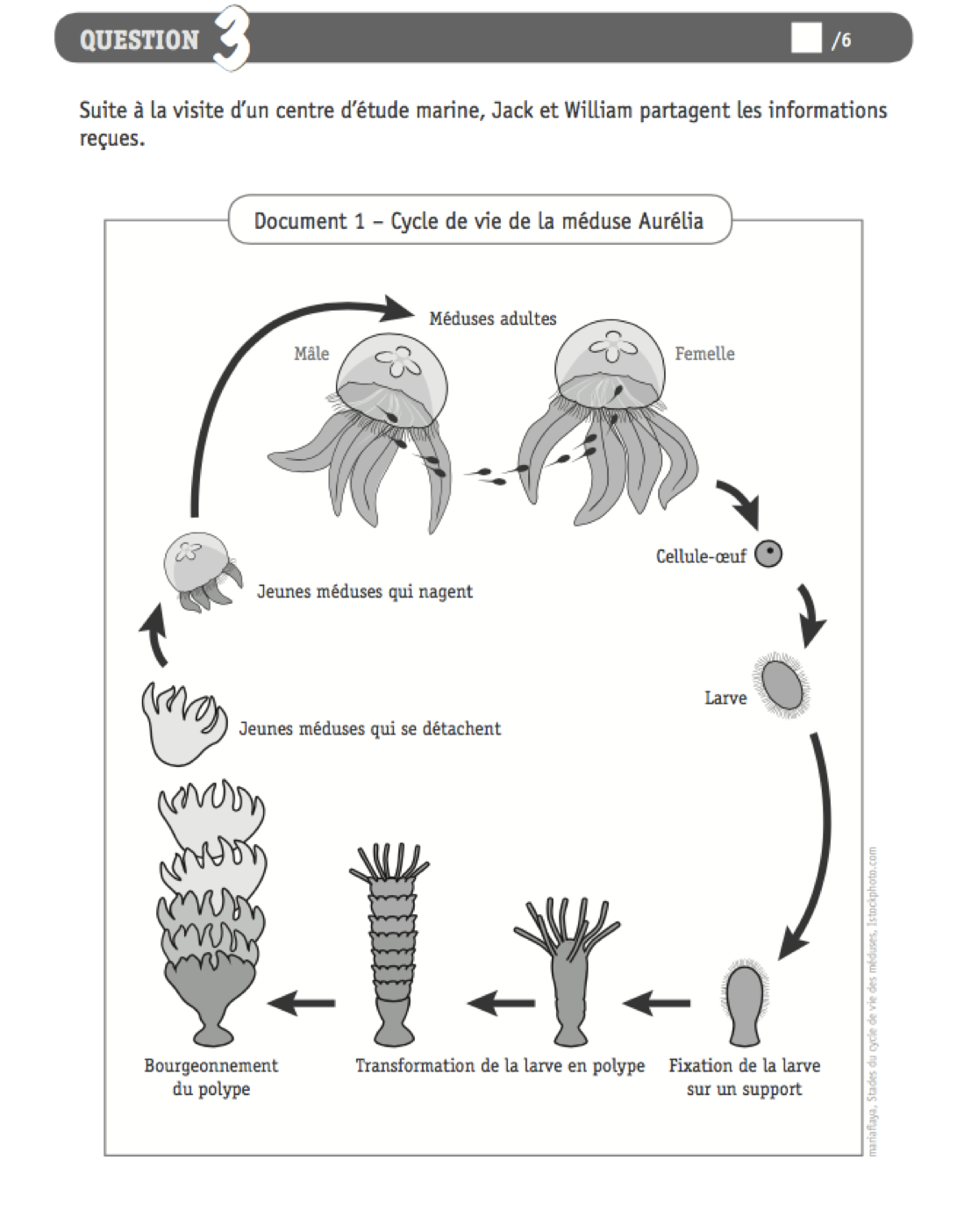 LEV CE1D 2019 QUESTION 3 » Sciences pour les allophones